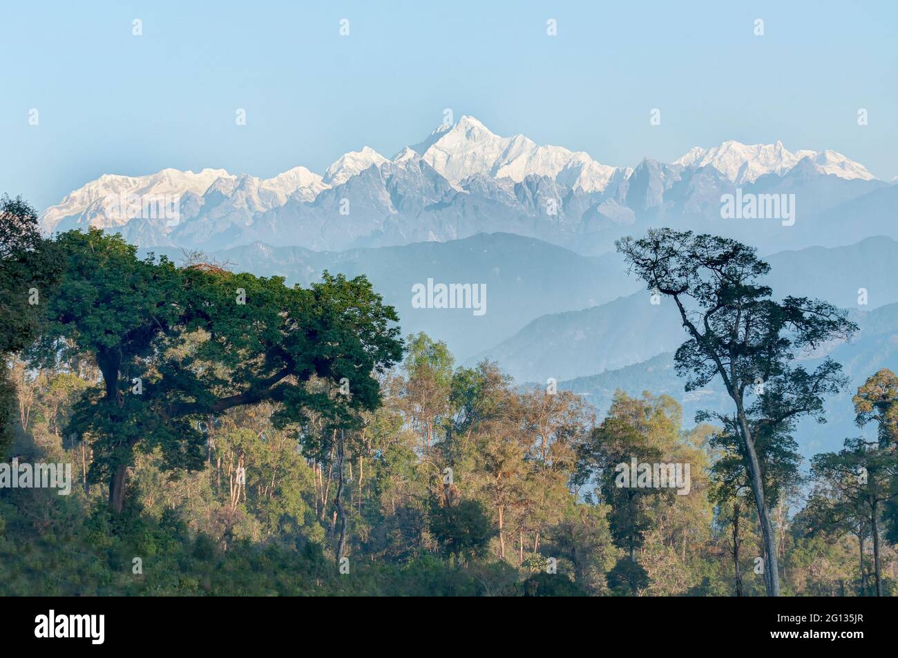 Beautiful view of trees of Silerygaon Village with Kanchenjunga mountain range at the background ...