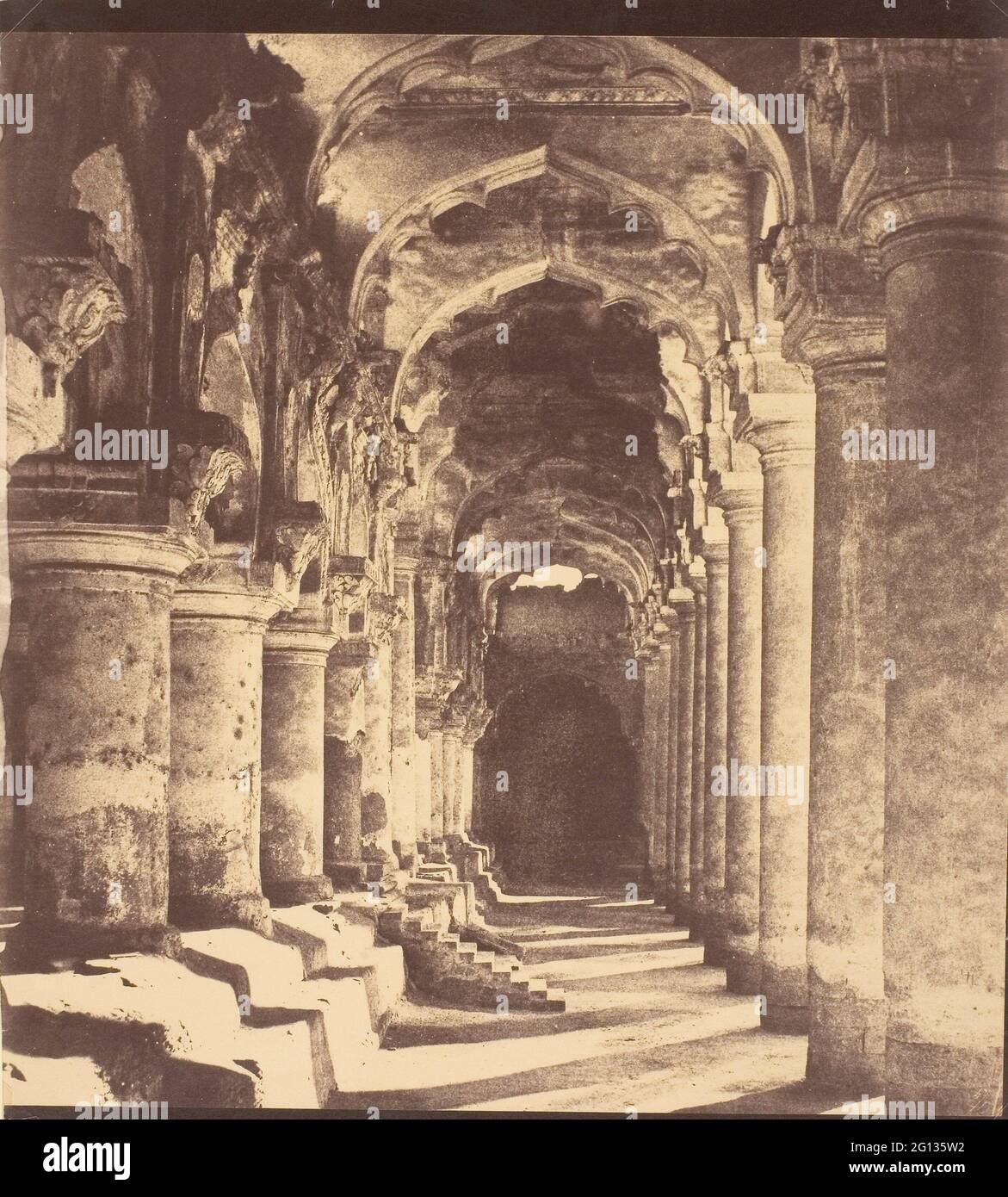 Tripe linnaeus hi-res stock photography and images - Alamy