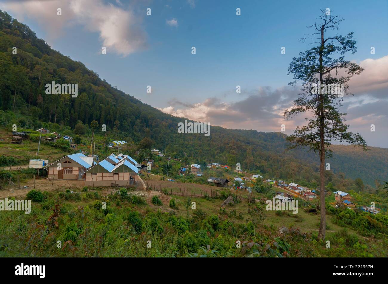 Houses with flowers and plants with forest background, Silerygaon ...