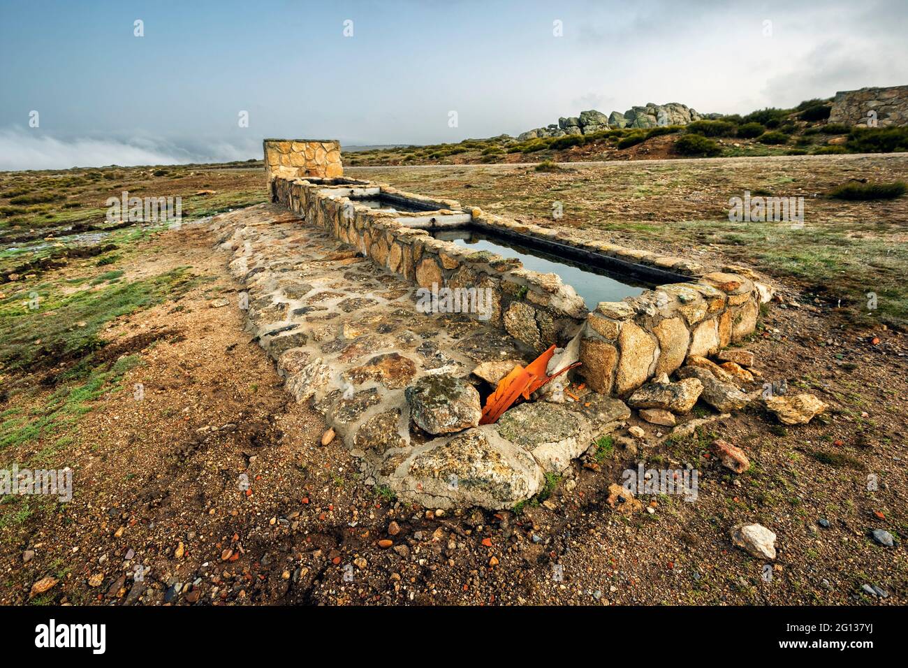 Farm water trough hi-res stock photography and images - Alamy