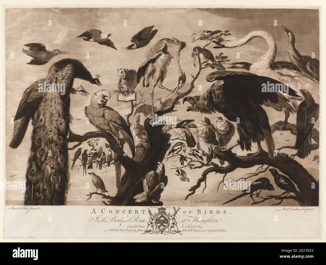 A concert of birds hi-res stock photography and images - Alamy