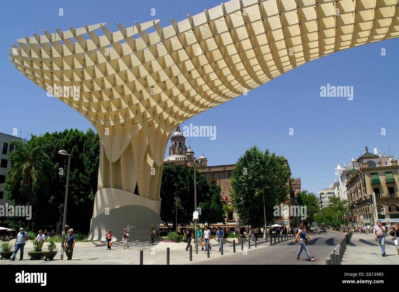 Seta de parasol hi-res stock photography and images - Alamy