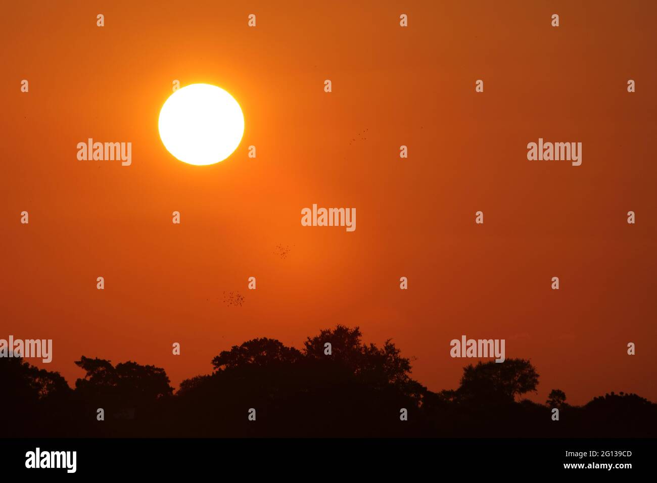 Sonnenuntergang sabie river hi-res stock photography and images - Alamy