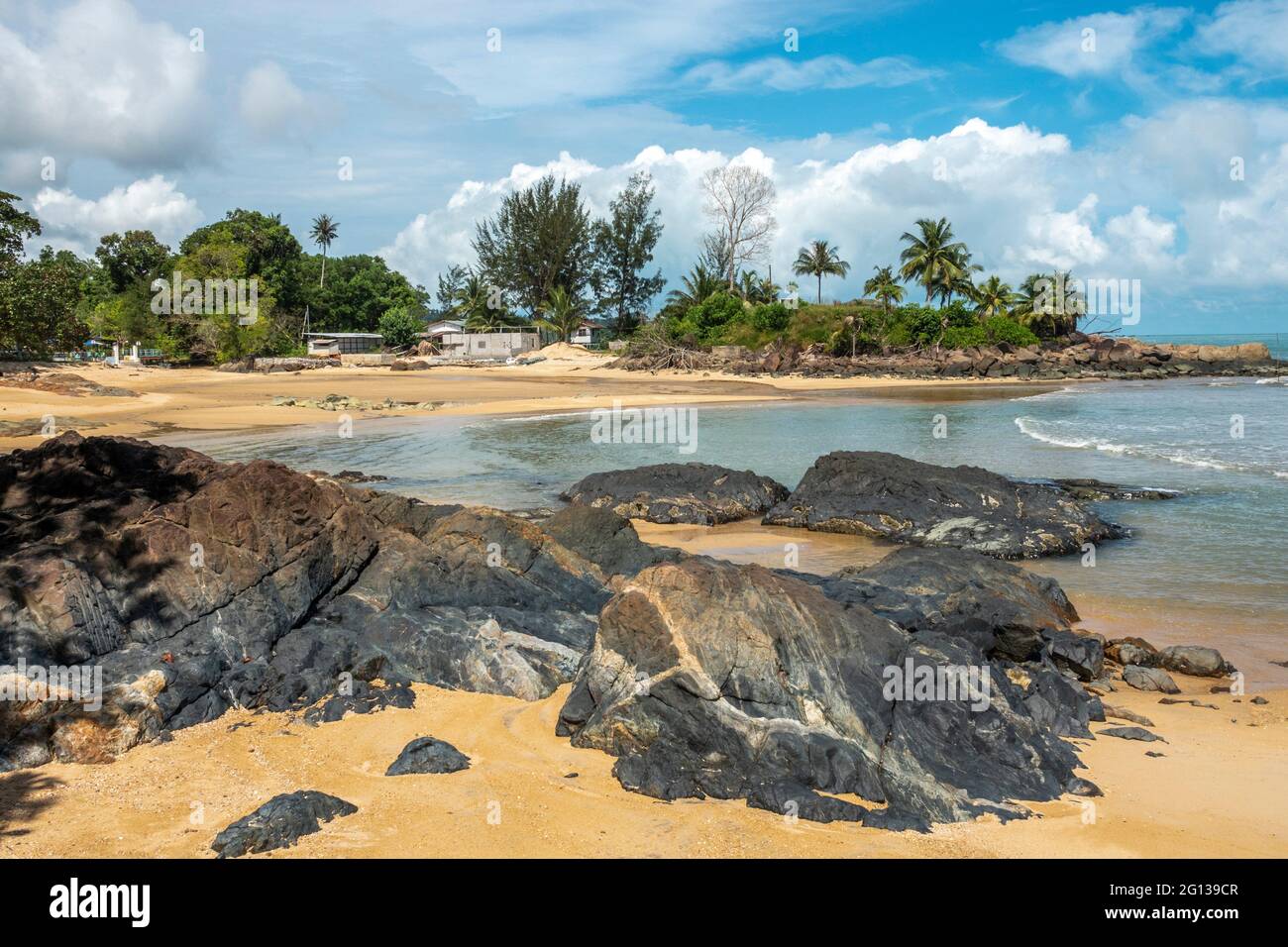 Pandan Tree High Resolution Stock Photography and Images - Alamy