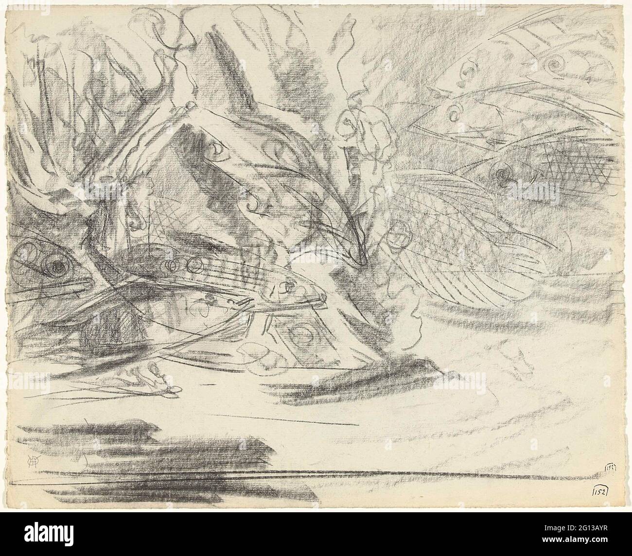 Natural aquarium formation hi-res stock photography and images - Alamy