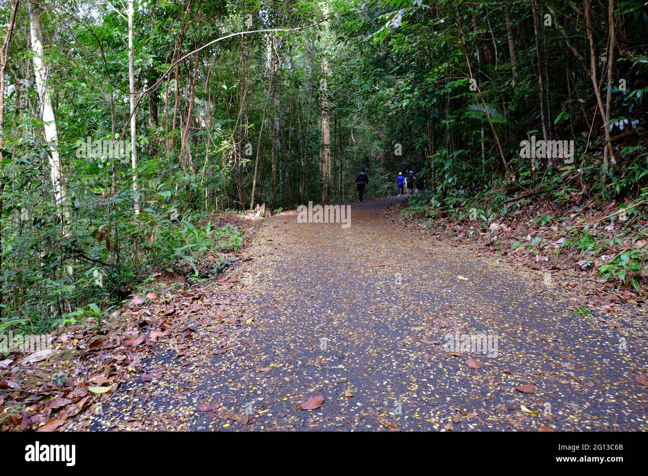 Walk-way to Sri maha Mariamman Temple, Mount Matang, Kuching, Sarawak ...