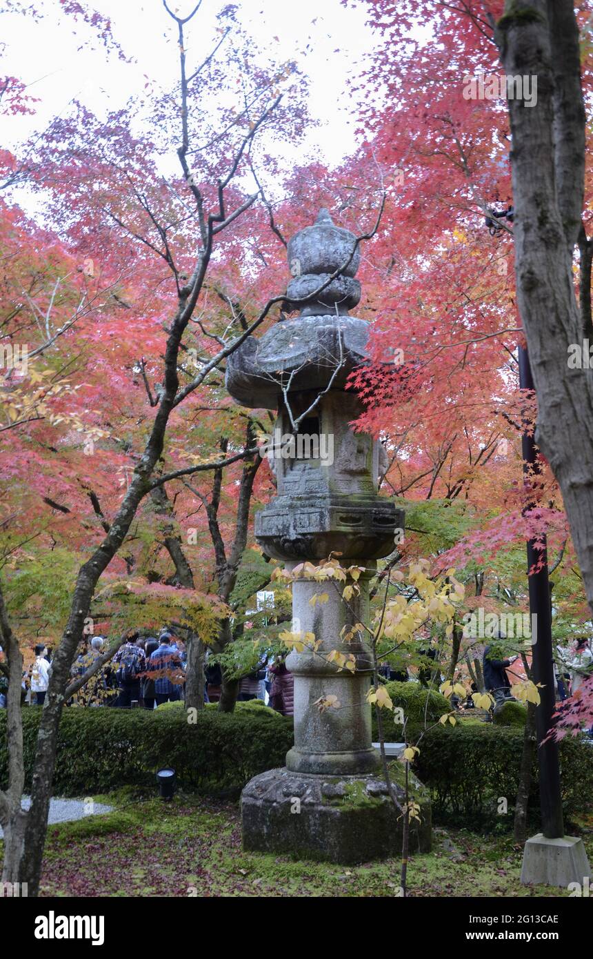 KYOTO, JAPAN - Dec 13, 2019: Kyoto, Japan- 24 Nov, 2019: Portrait of a ...