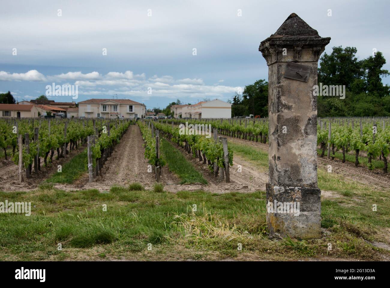 Libourne France Vineyard High Resolution Stock Photography and Images ...