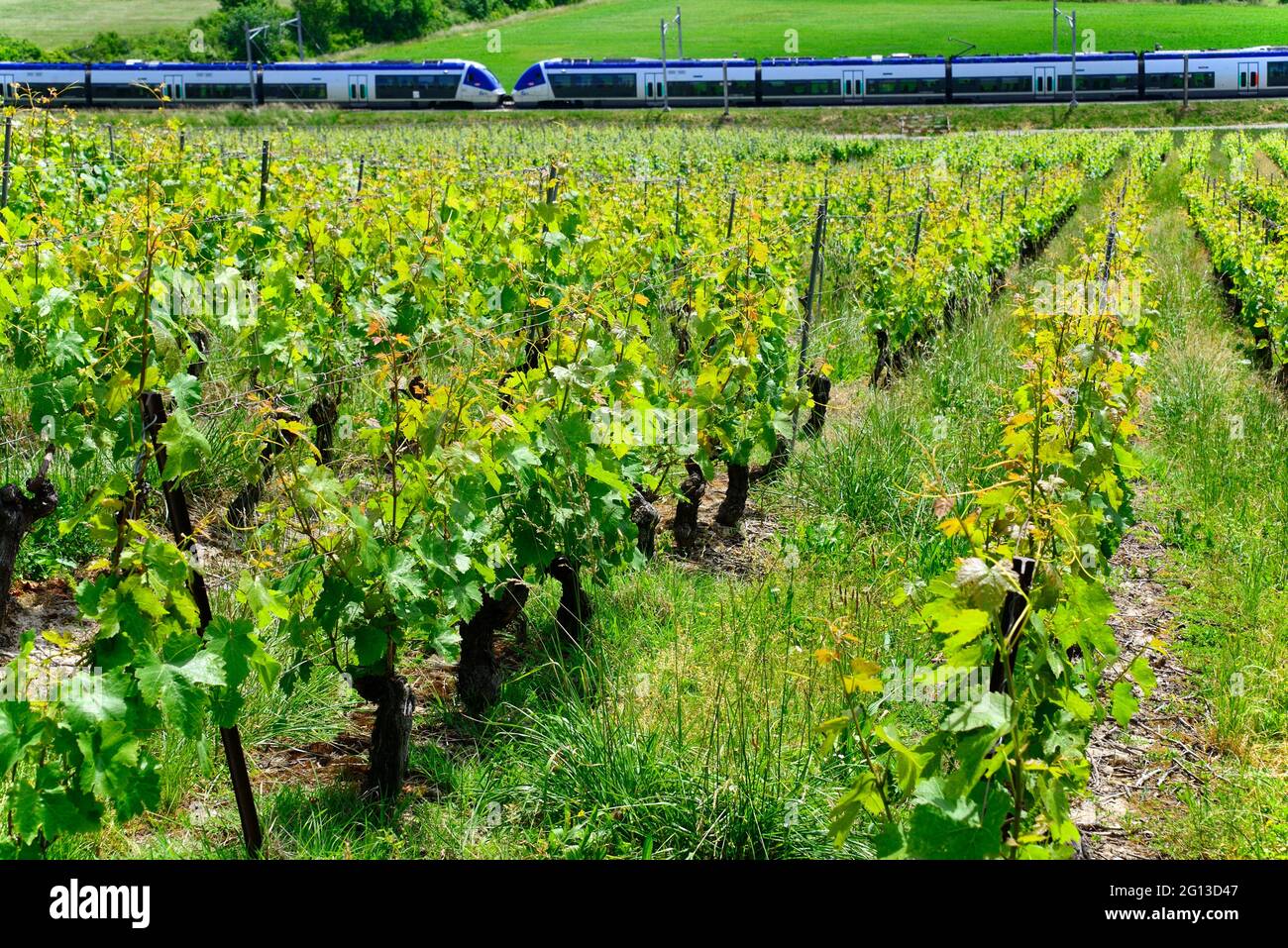 Train de plantation hi-res stock photography and images - Alamy