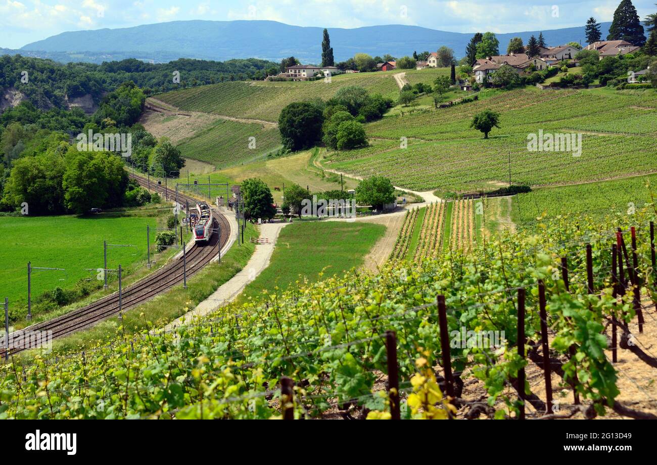 Switzerland eco hi-res stock photography and images - Alamy