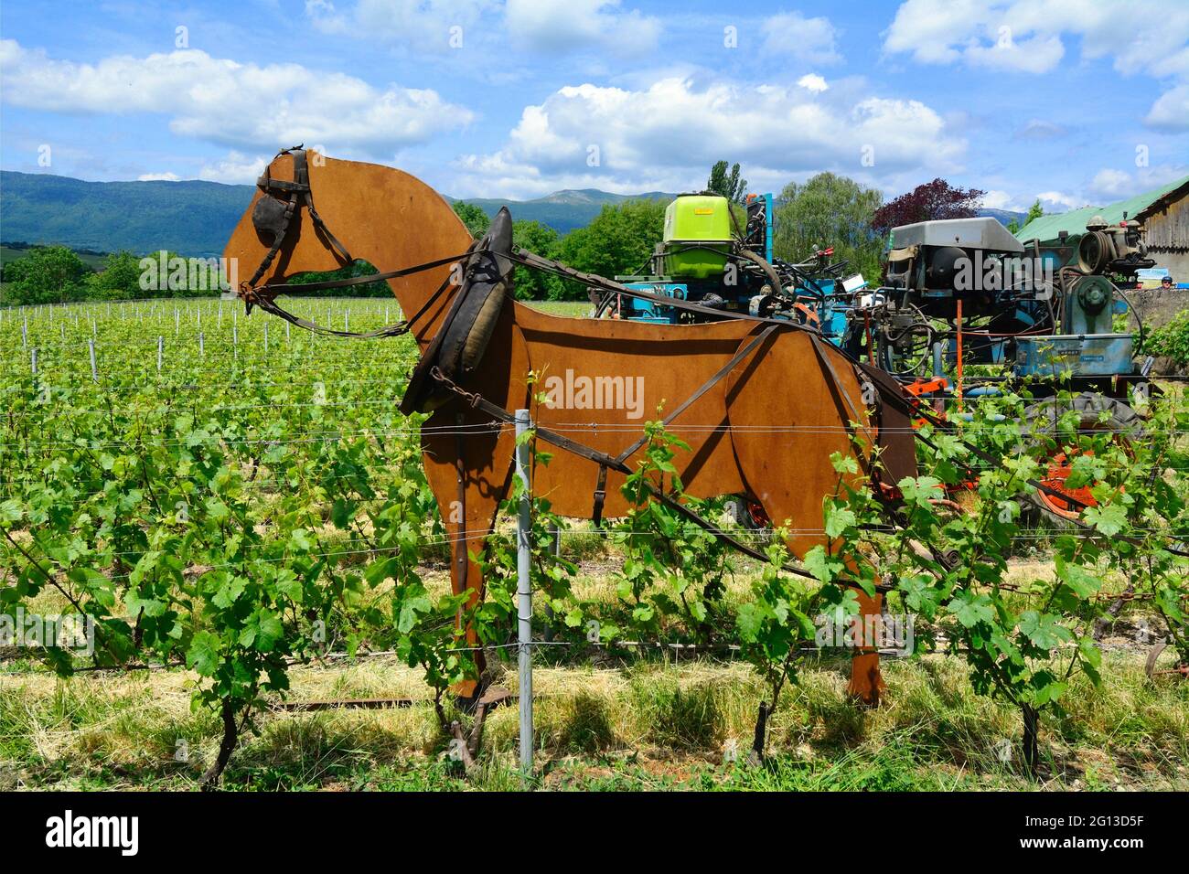 Ploughing horse vineyard hi-res stock photography and images - Alamy