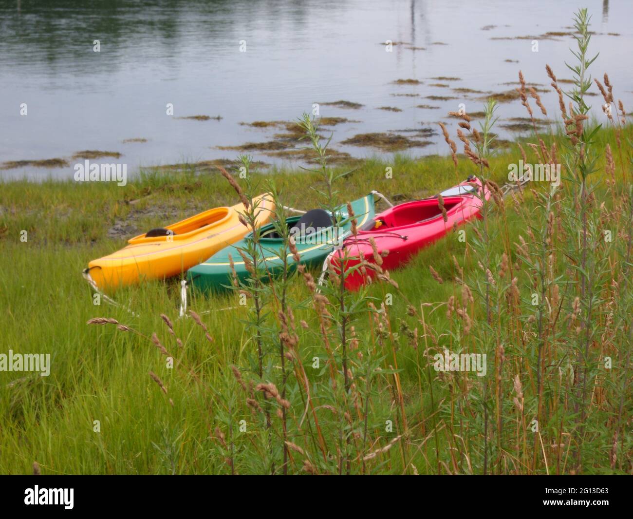 Group along wetland hi-res stock photography and images - Alamy
