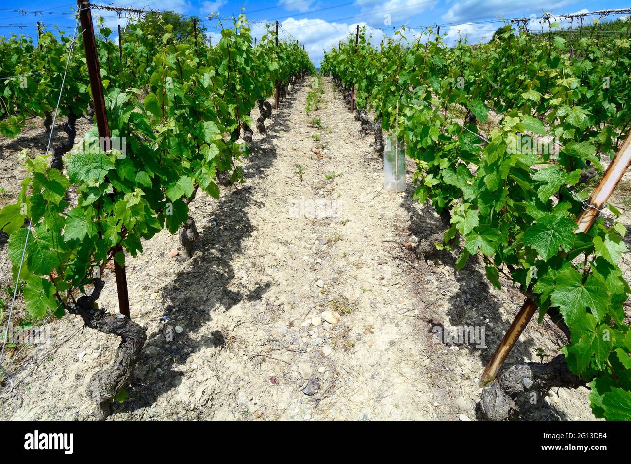 Région de bio bio hi-res stock photography and images - Alamy