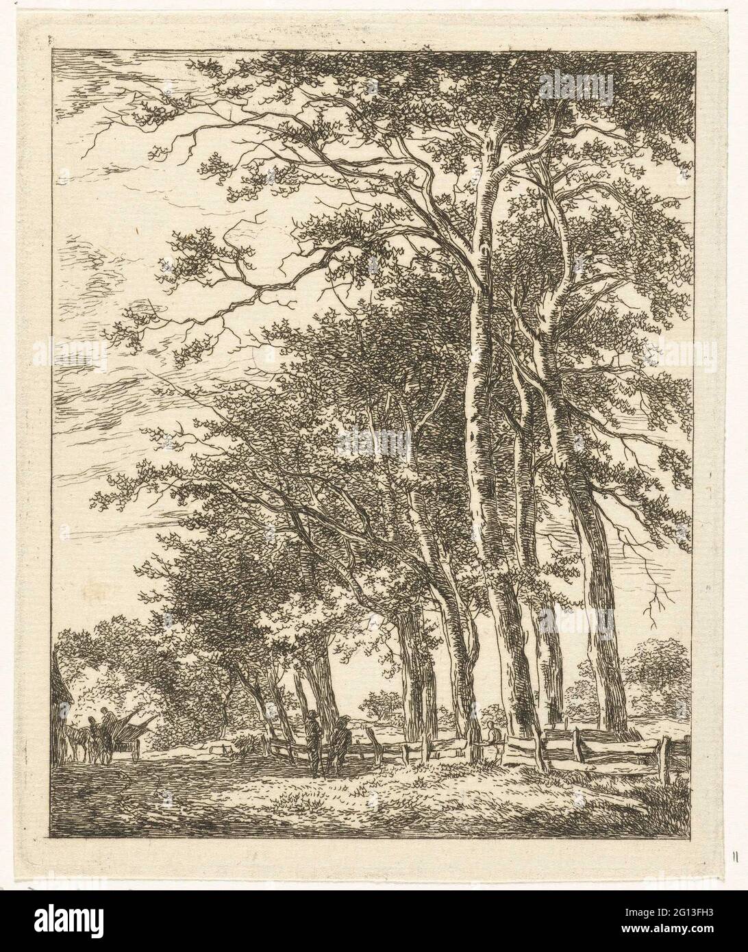 Two standing figures at tall trees Stock Photo - Alamy