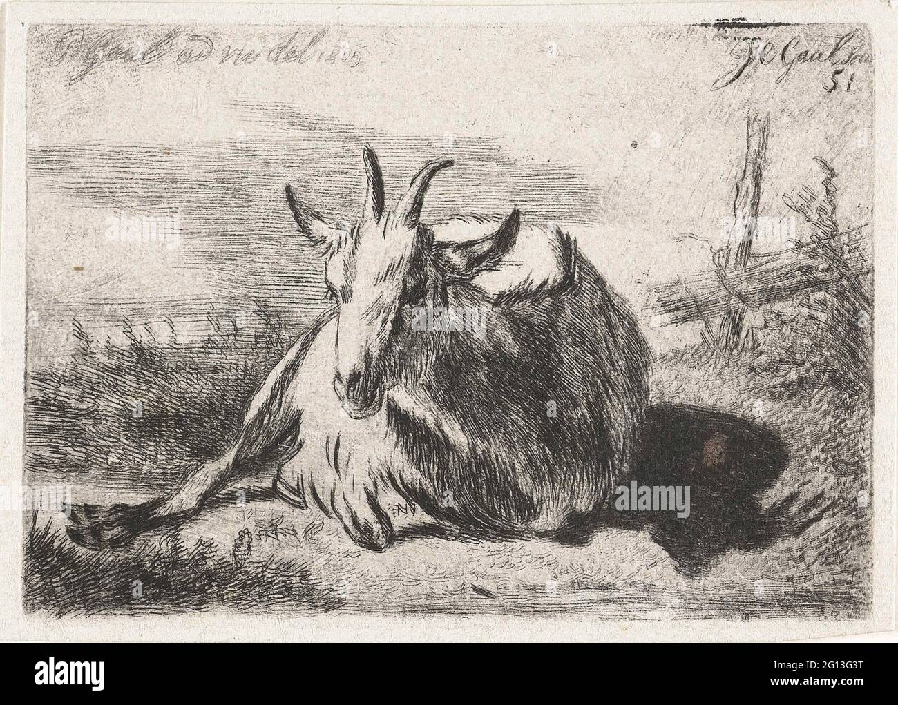 Standing goat left hi-res stock photography and images - Alamy