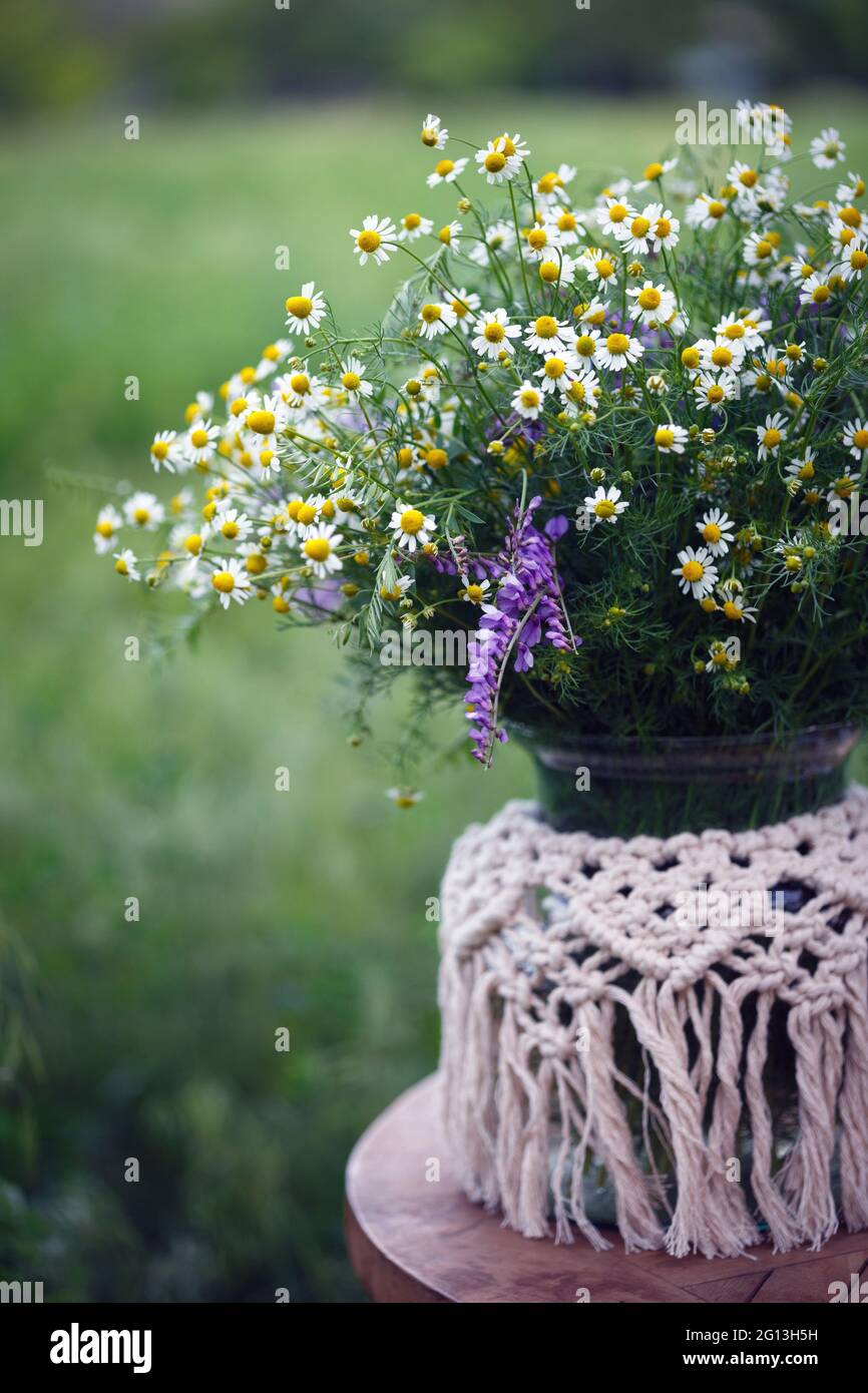 vase with daisies. garden and horticulture. beautiful bouquet Stock ...