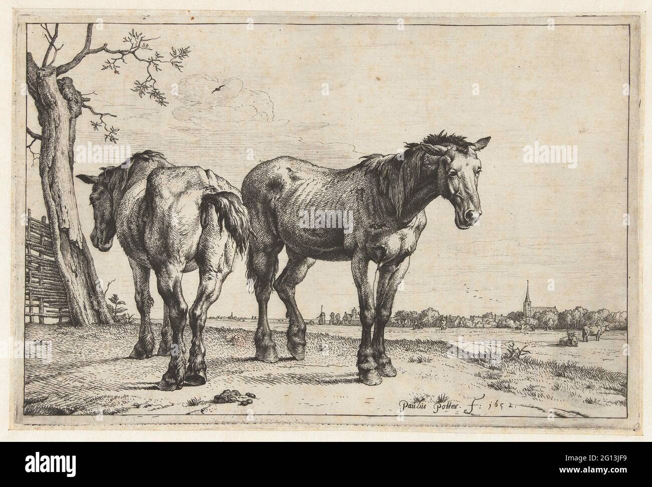 Two team horses; Horses. Two work horses standing at a tree in a ...