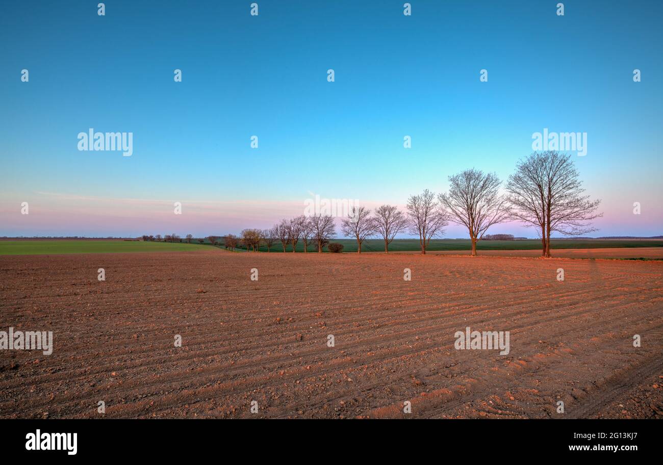 Spring landscape at sunrise in Central Bohemian Uplands, Czech Republic ...