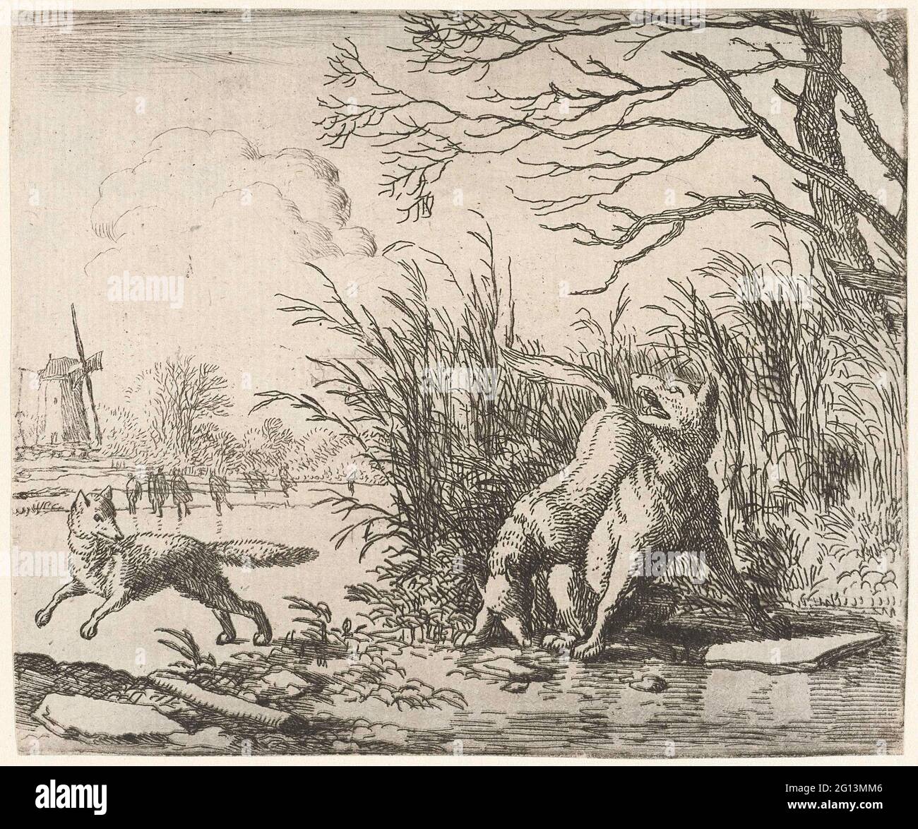 Wolf Crying Crying Wolf Hi Res Stock Photography And Images Alamy