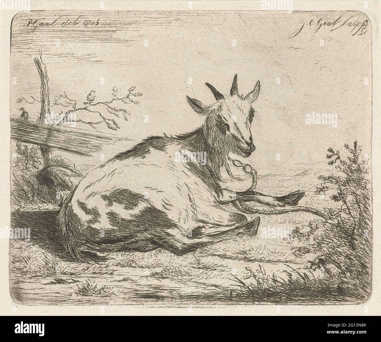 Goat farming imagery hi-res stock photography and images - Alamy