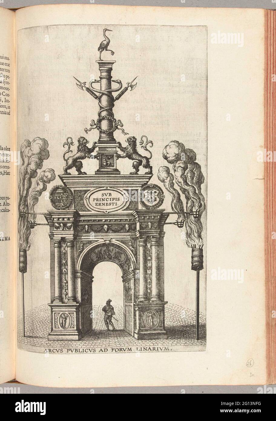 Ludorum hi-res stock photography and images - Alamy