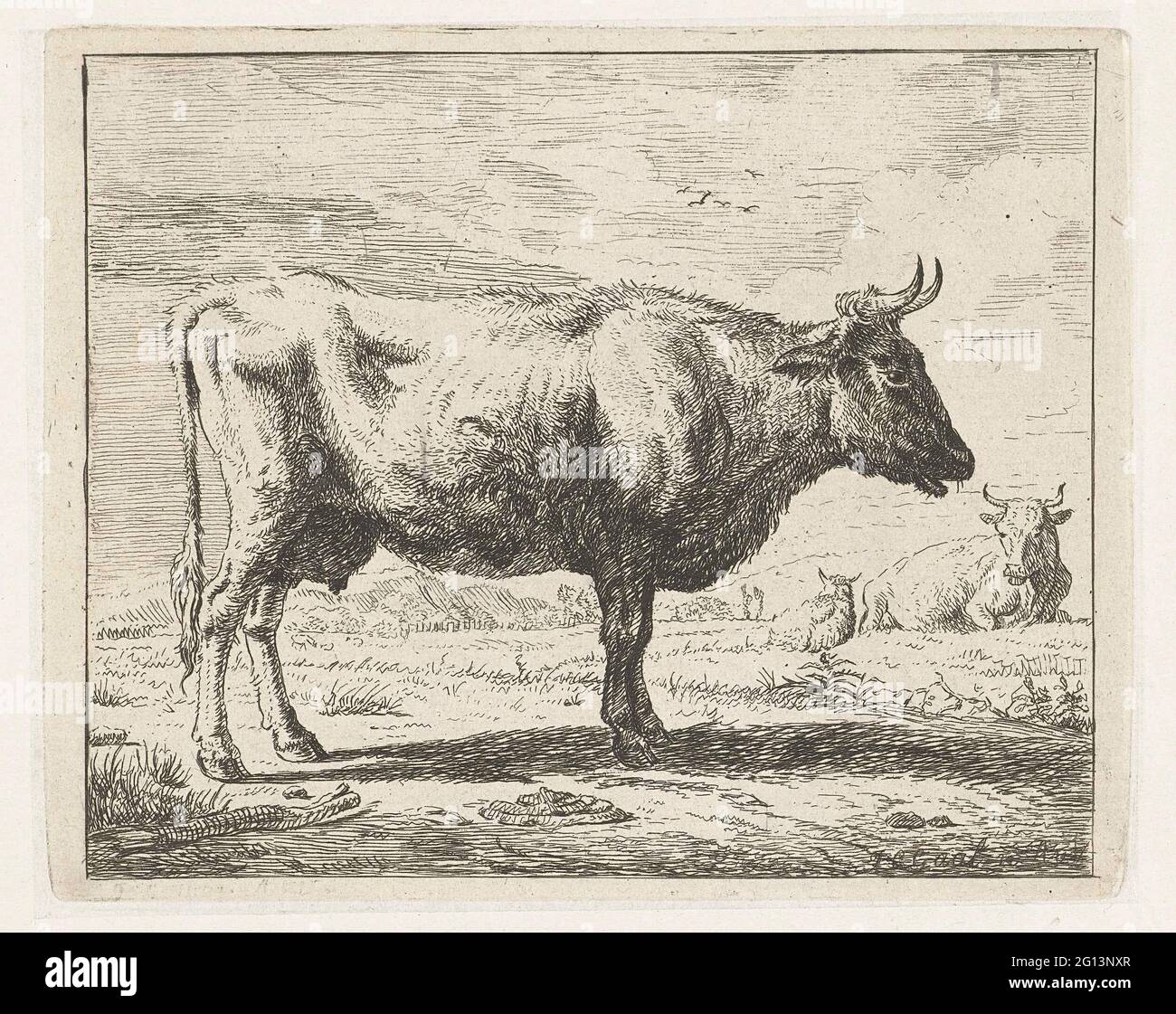 Naturalistic cow study hi-res stock photography and images - Alamy