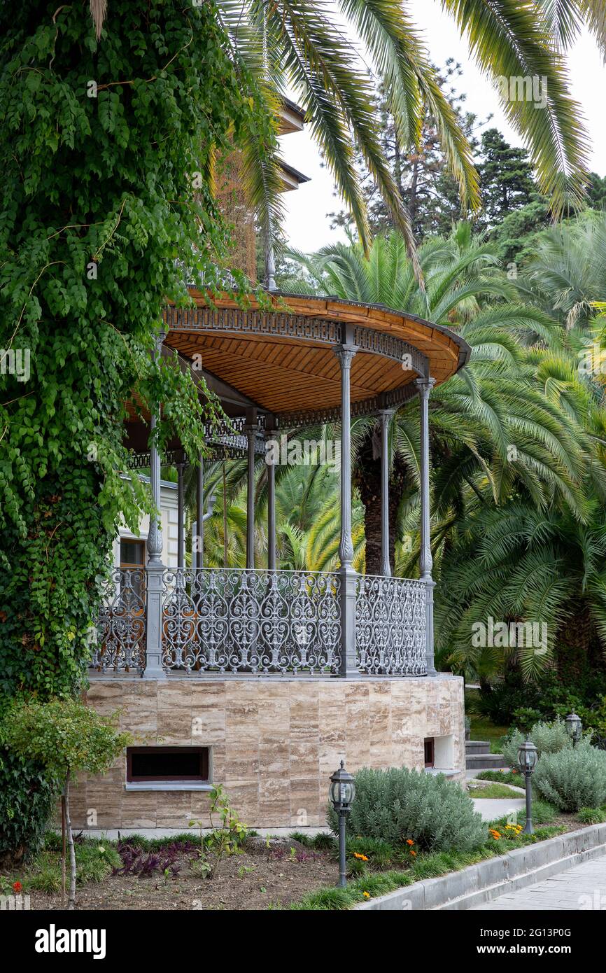 Arboretum plant hi-res stock photography and images - Alamy