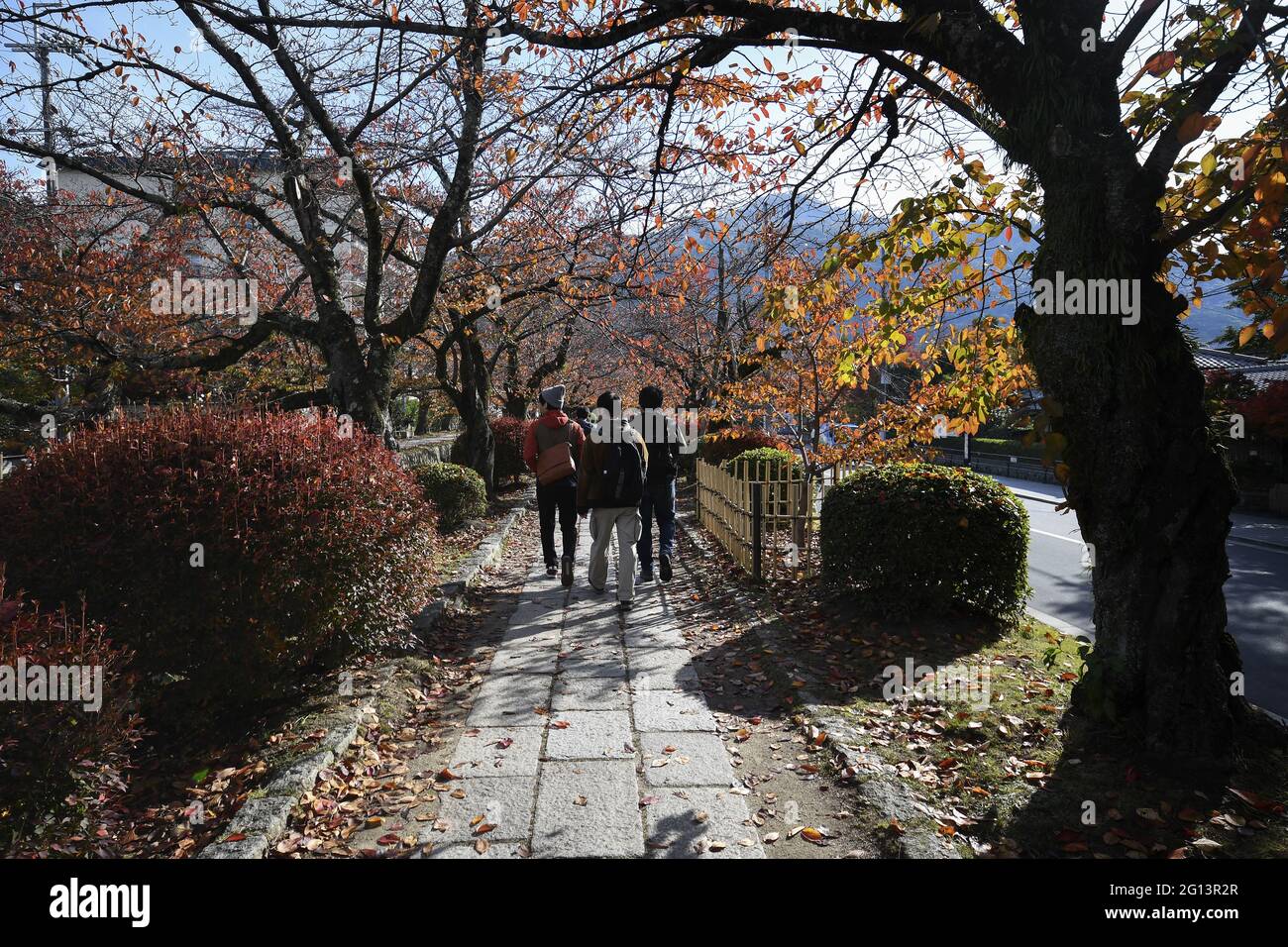 Philosopher's Path with autumn leave in Kyoto Stock Photo - Alamy