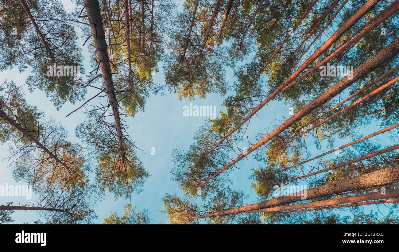 Vertical 4k hi-res stock photography and images - Alamy