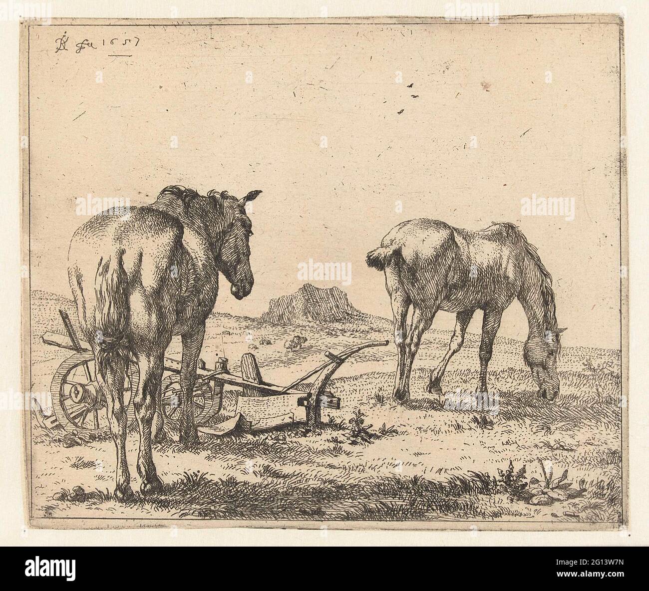 Two Horses Yoked Together