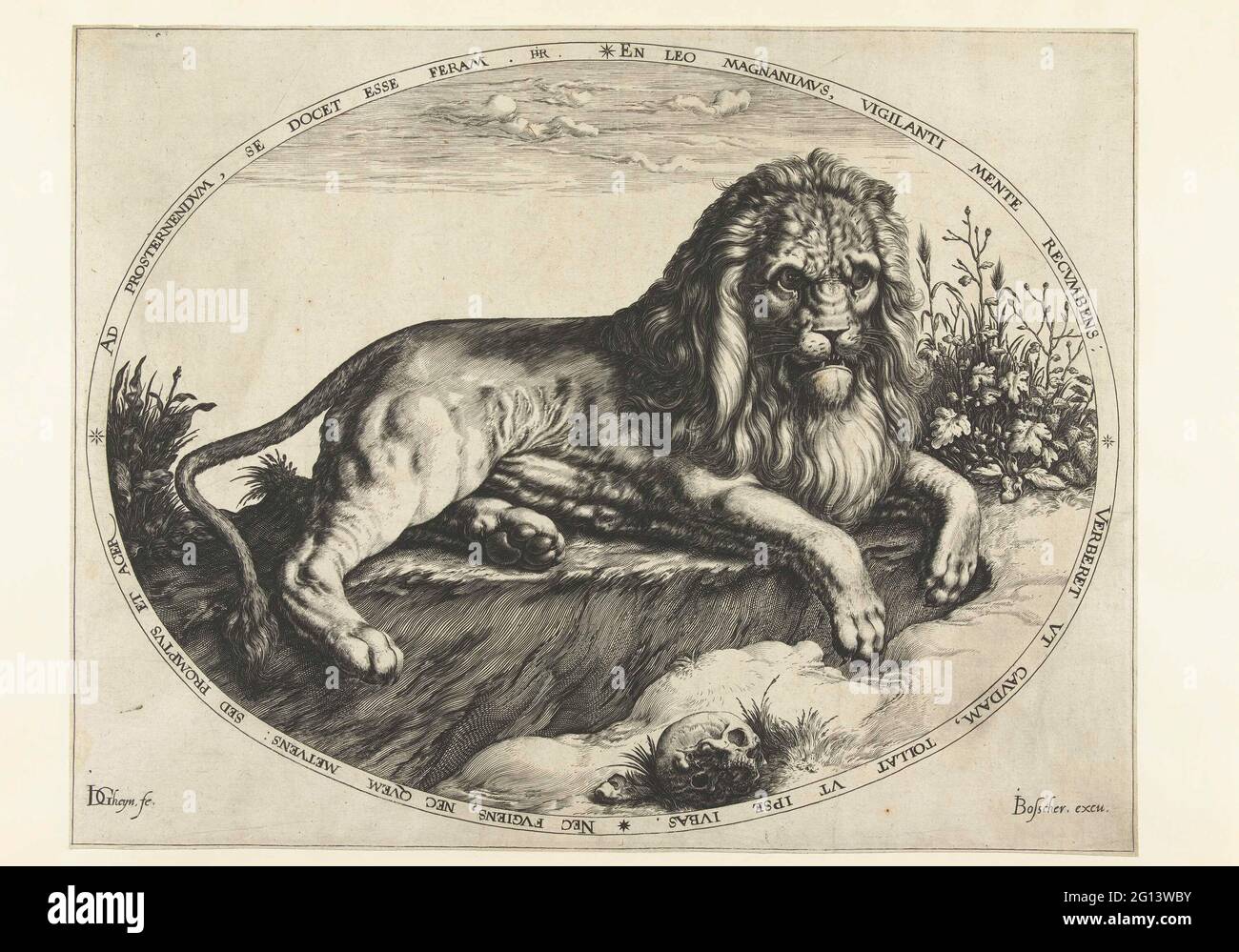 The lion. Oval presentation of a lion lying in a skull. To the show a ...