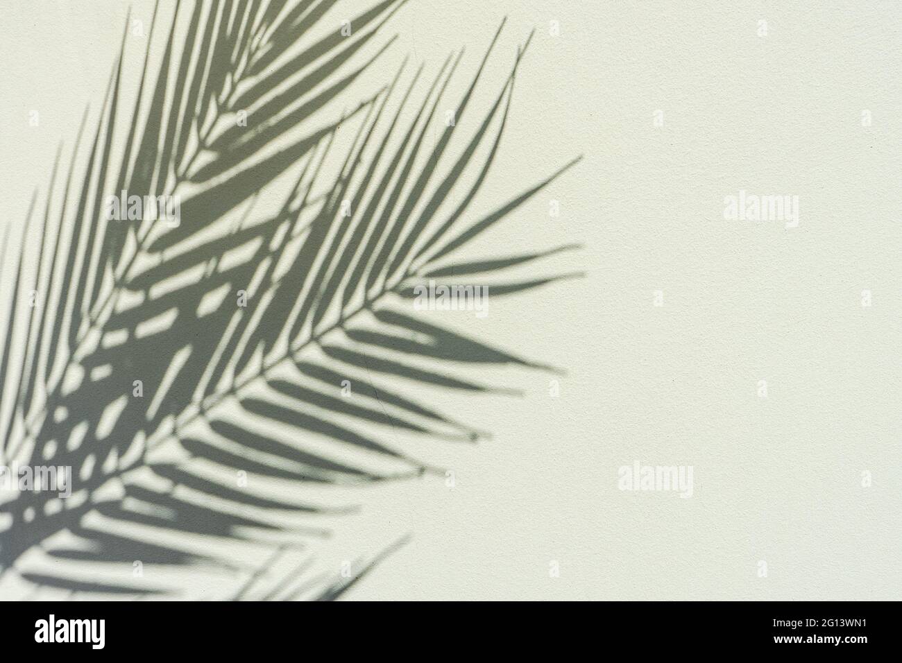 Palm tree shadows on house hi-res stock photography and images - Alamy