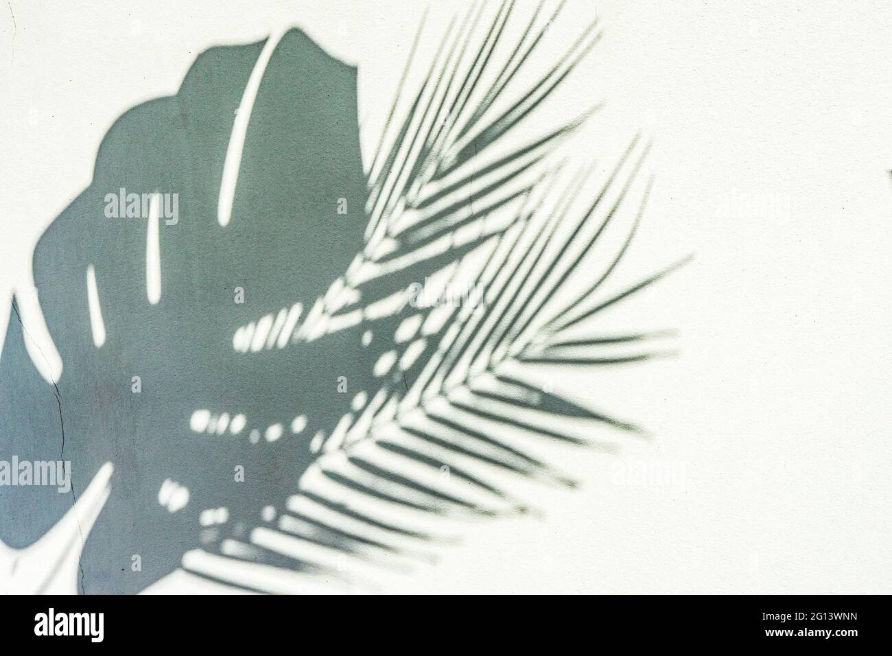 Palm tree shadows on house hi-res stock photography and images - Alamy