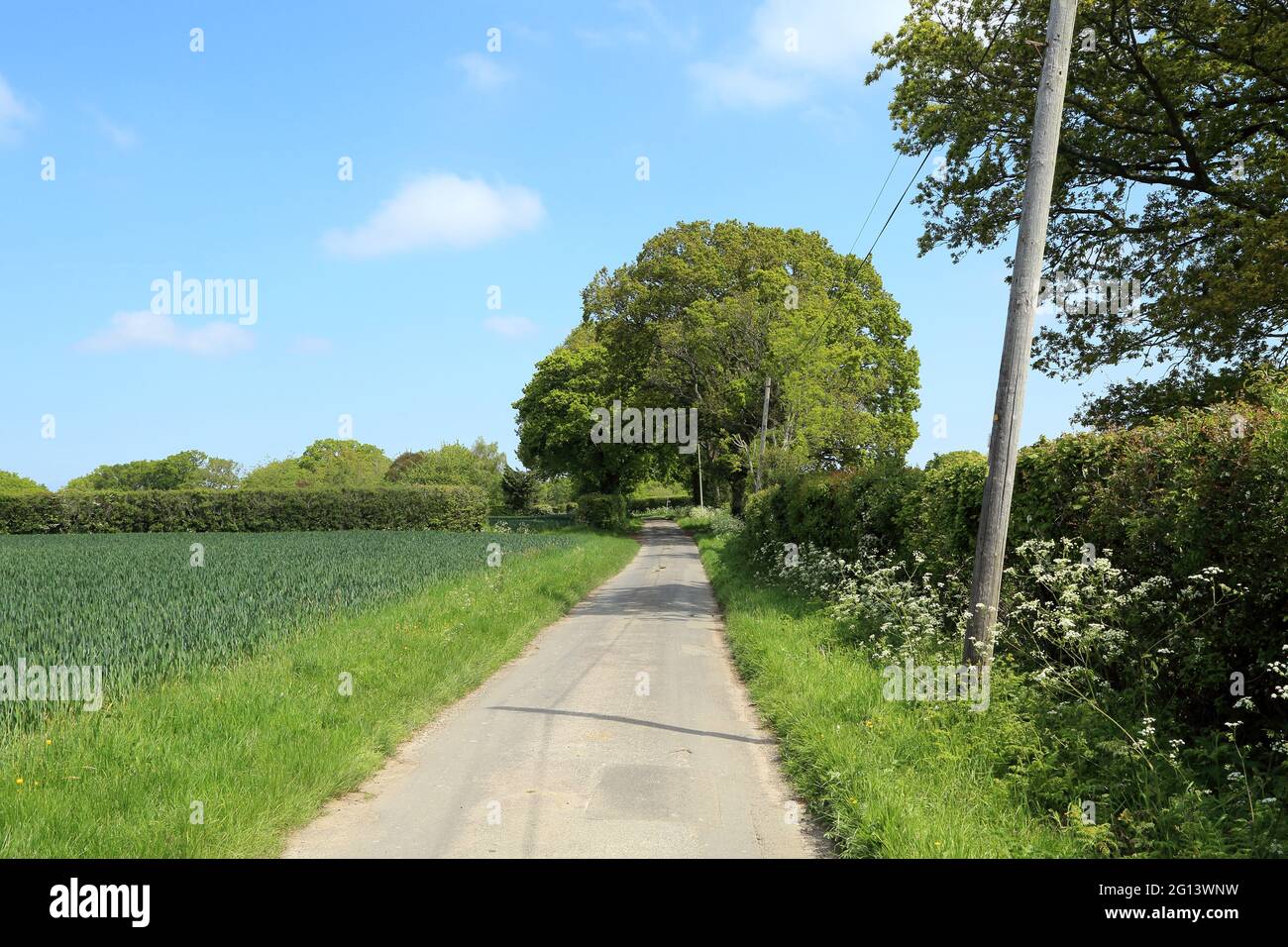 Ruckinge kent hi-res stock photography and images - Alamy