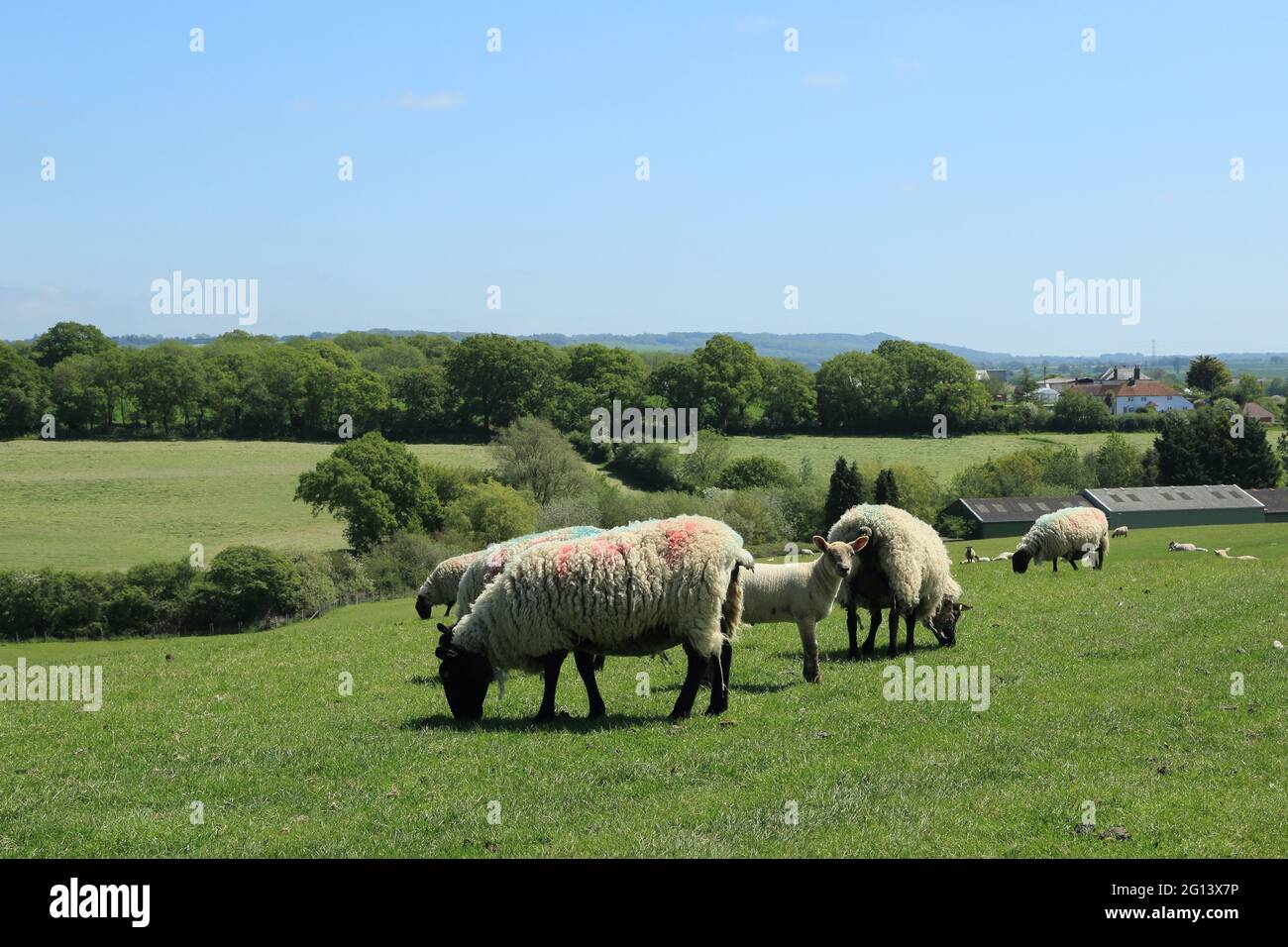 Ruckinge kent hi-res stock photography and images - Alamy