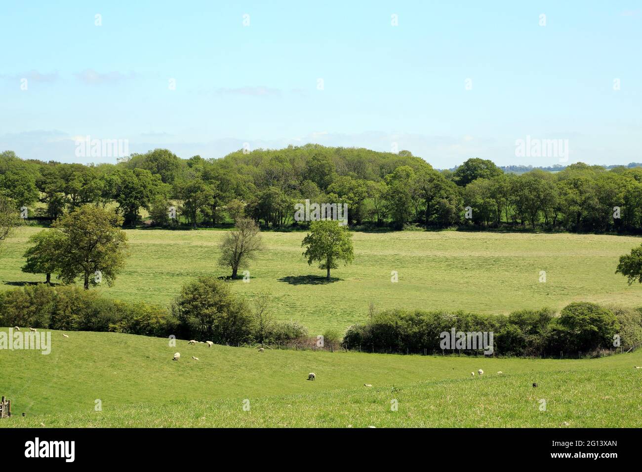 Ruckinge kent hi-res stock photography and images - Alamy