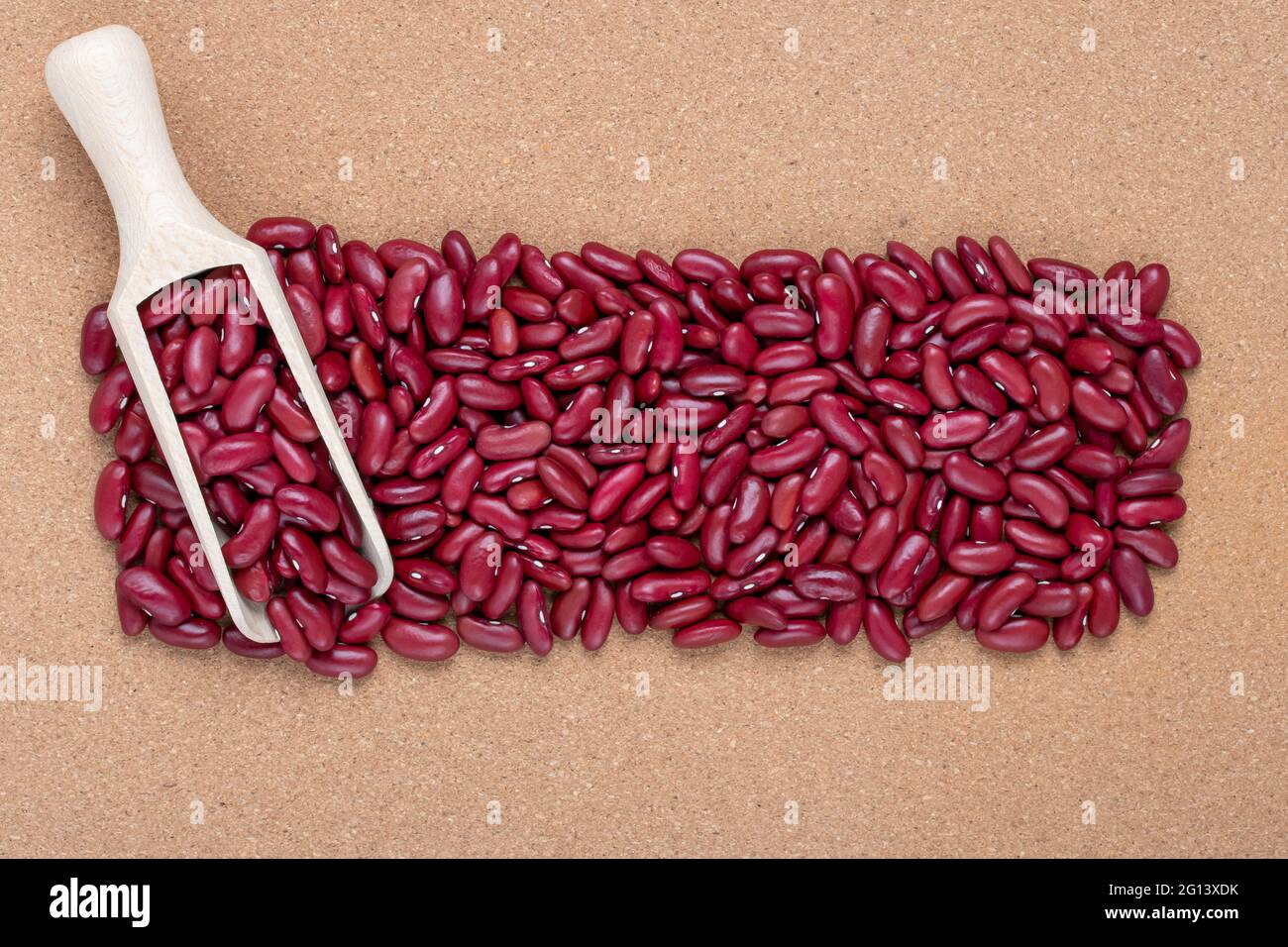 A heap of dry beans. Seeds of common bean. Light purple cultivar of ...