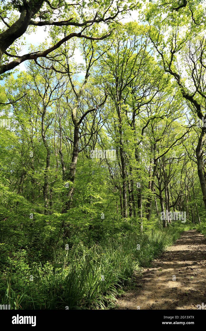 Hiking ham street hi-res stock photography and images - Alamy