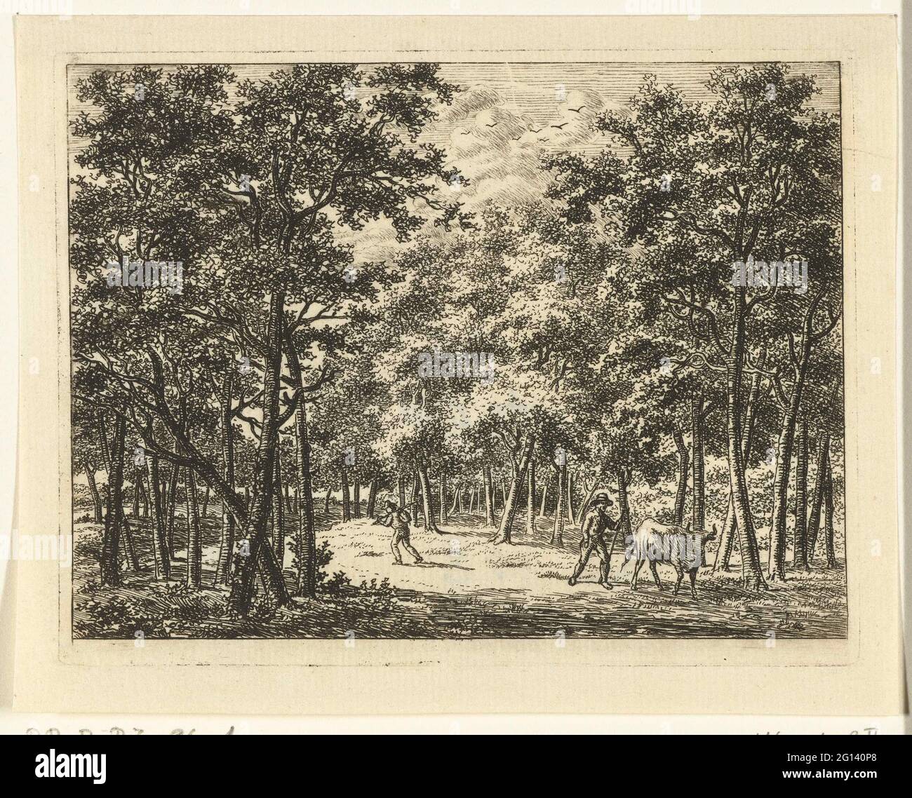 Shepherd with cow in the forest Stock Photo - Alamy