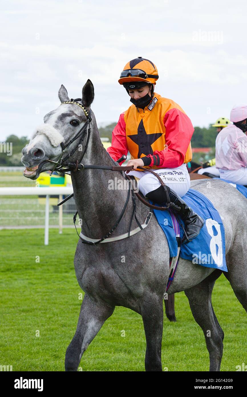 Jockey Joanna Mason on racehorse Yorkshire Lady Stock Photo - Alamy