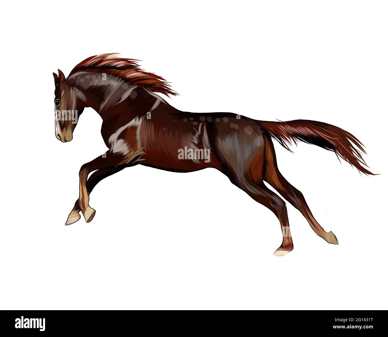 How To Draw A Realistic Horse Running