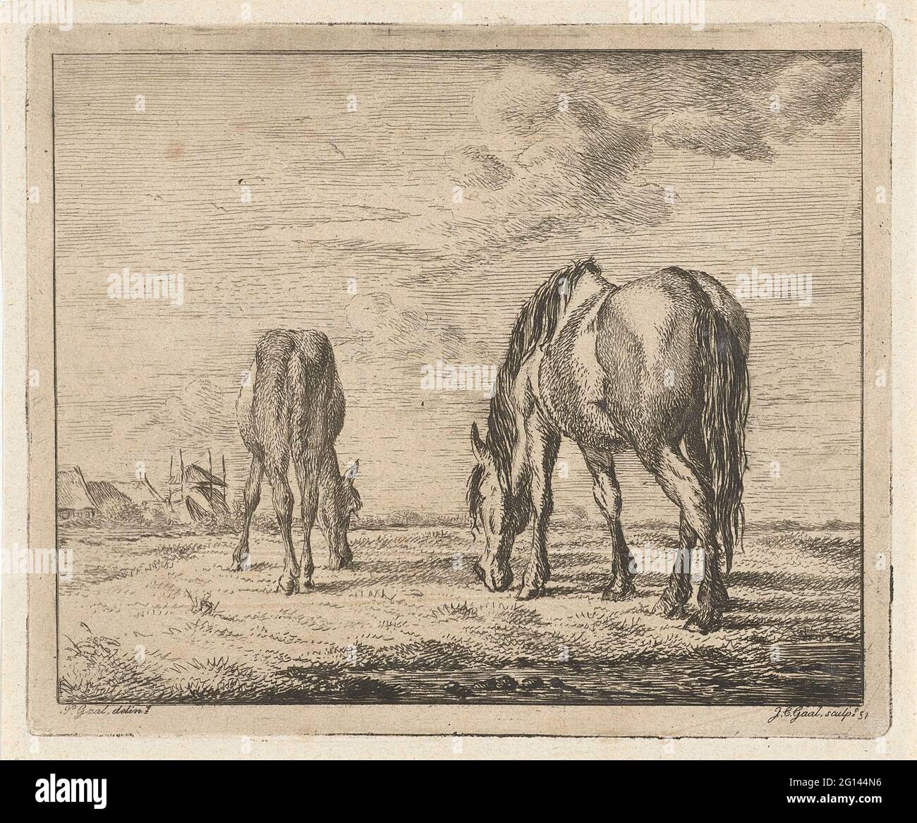 Two grazing horses Stock Photo - Alamy