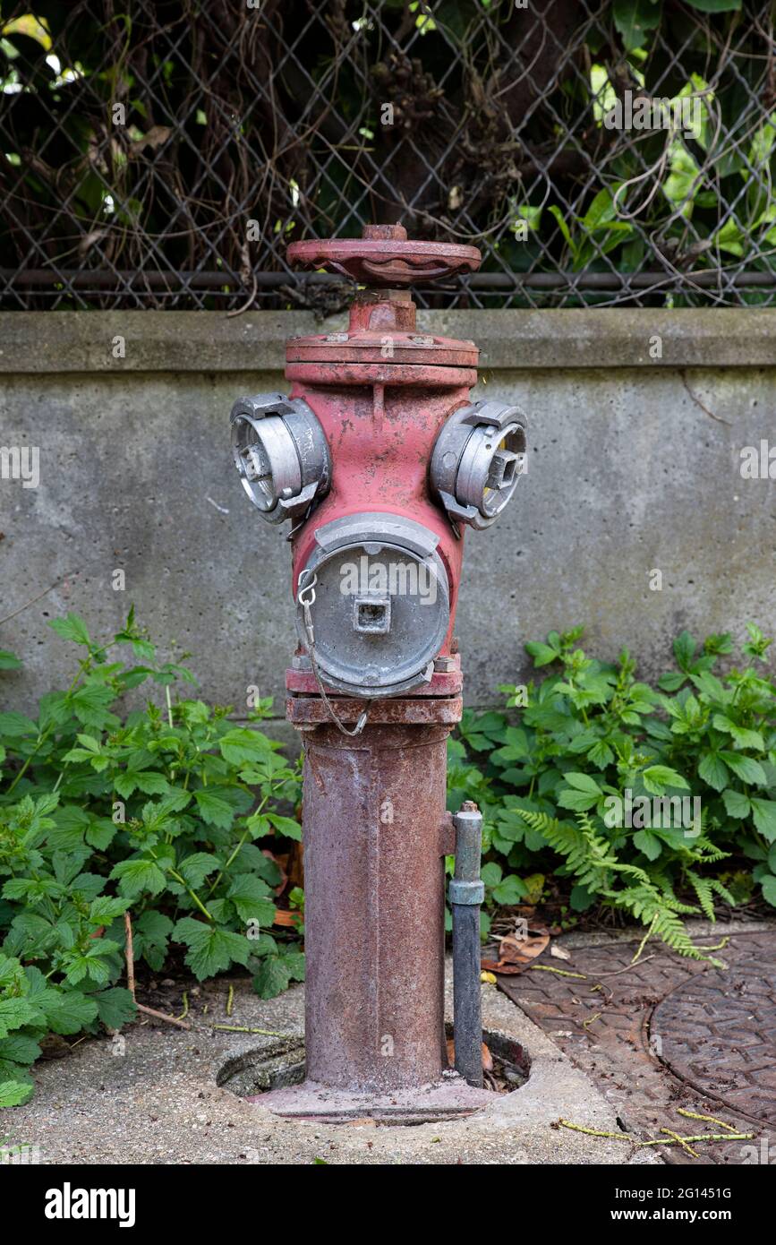 Close-up of a red hydrant on a pavement Stock Photo - Alamy
