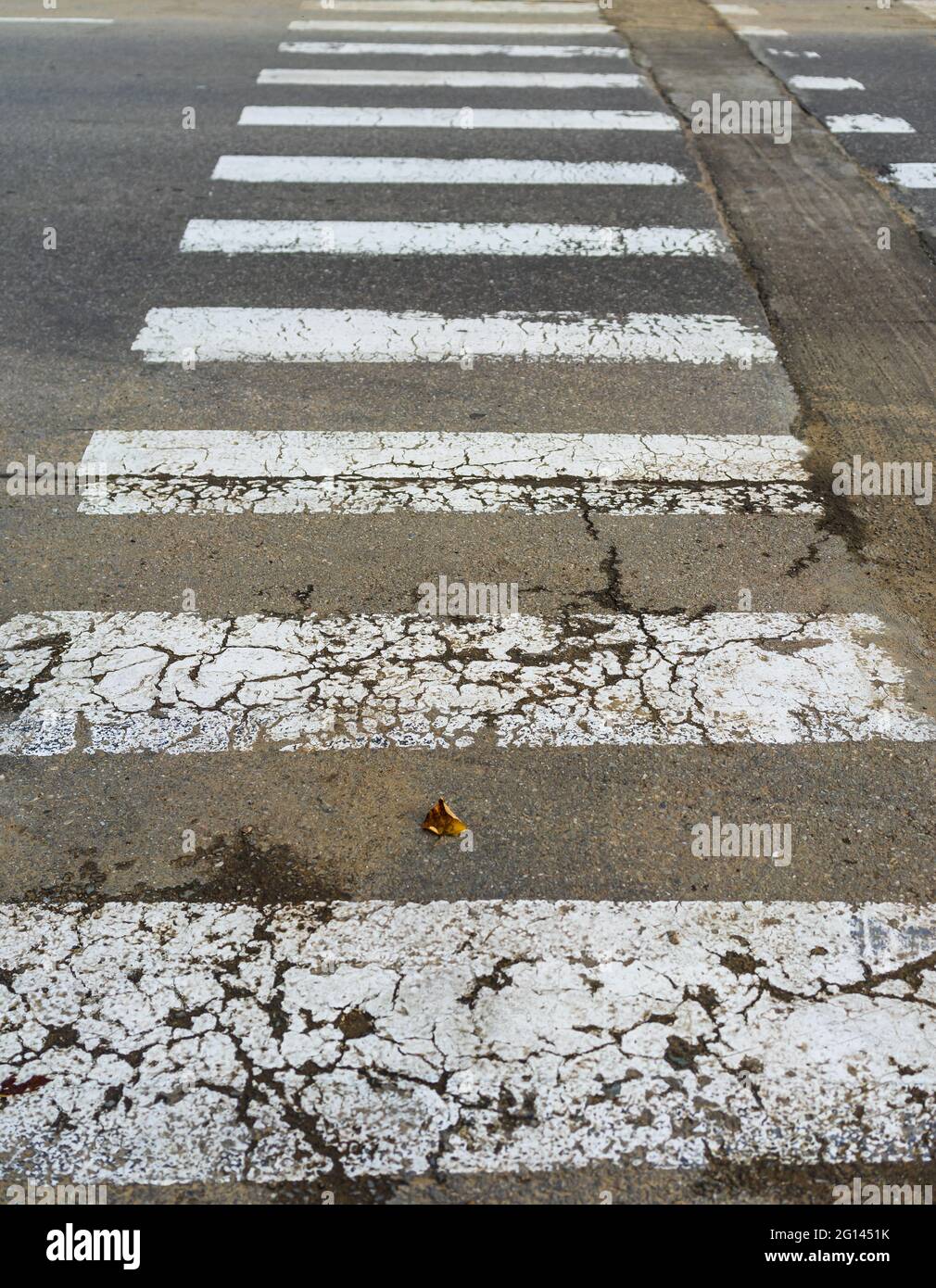 Empty pedestrian crossing, crosswalk on the road isolated Stock Photo ...