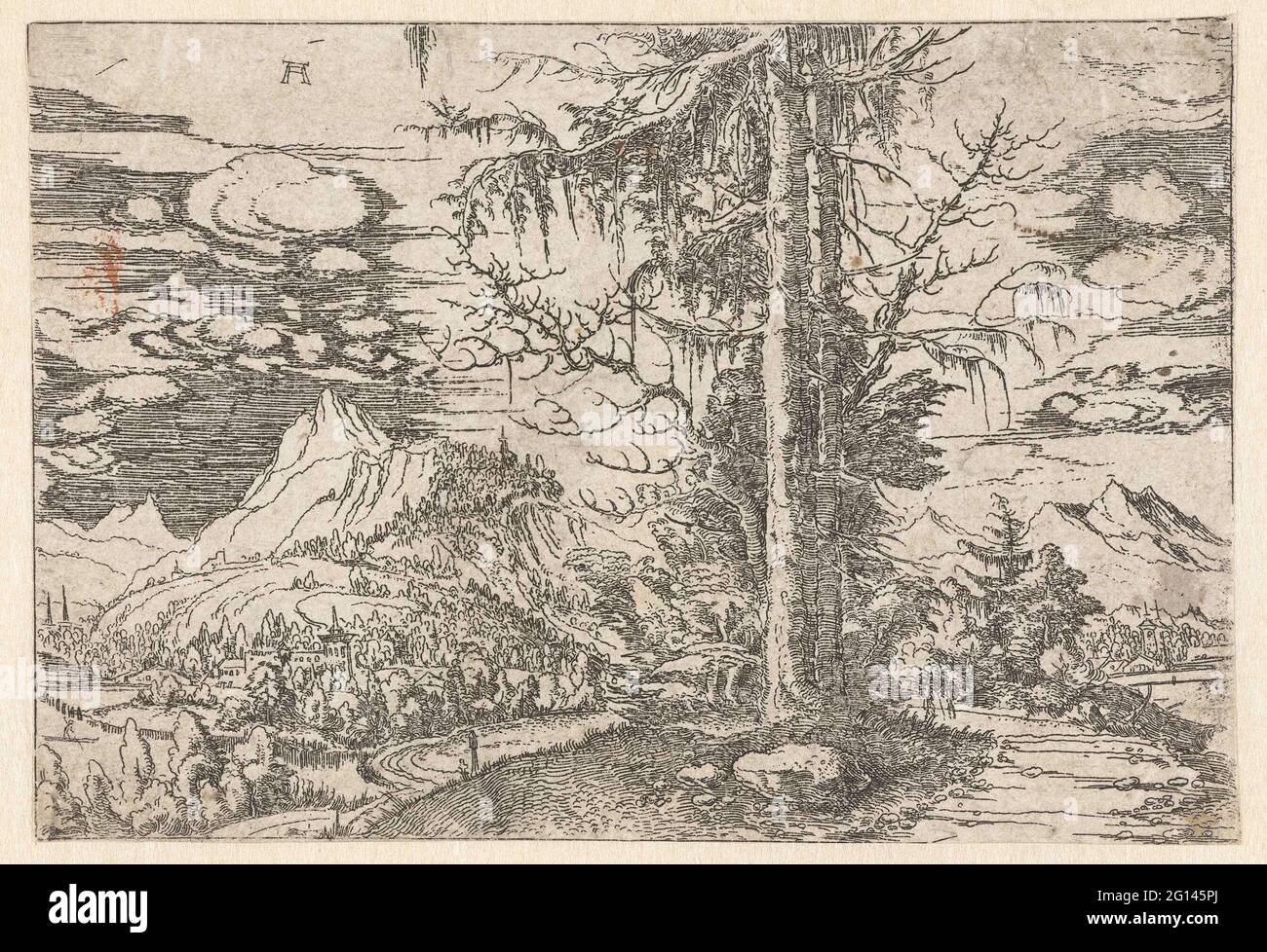 Landscape with double fir tree. Mountain landscape with a large double ...