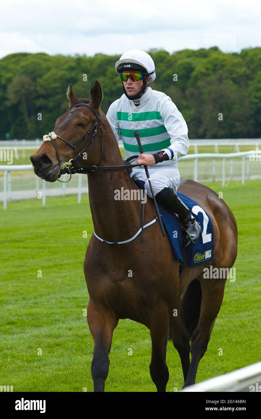 Flor de la luna hi-res stock photography and images - Alamy