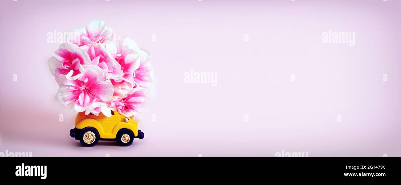 Yellow toy car delivering flowers bouquet on pink background. Copy ...
