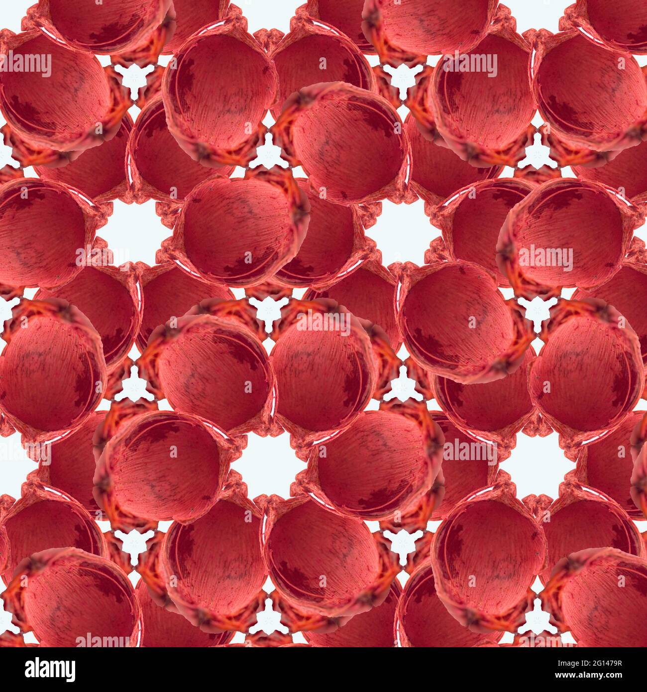 Circles in nature hi-res stock photography and images - Alamy