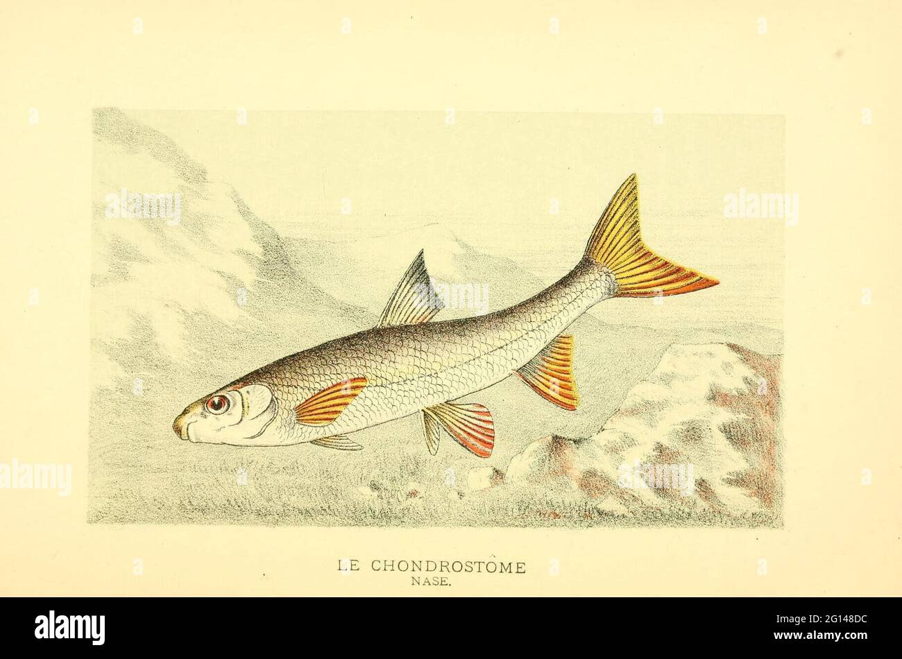 Montreal aquarium hi-res stock photography and images - Alamy