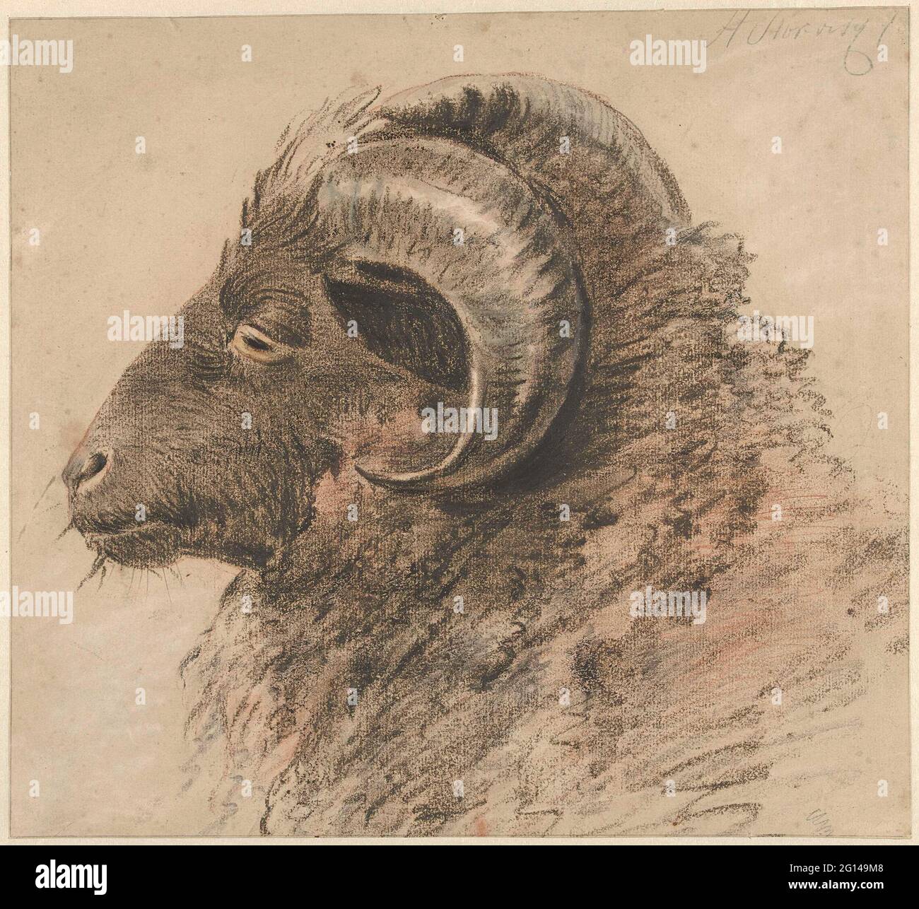 Ram shaped vessel hi-res stock photography and images - Alamy